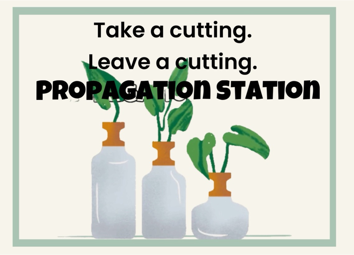 Propagation Station • Levi E. Coe Library